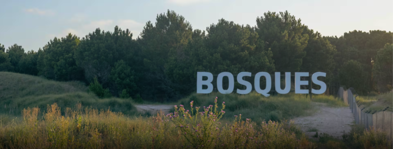 Bosques: un Master Plan con la sustentabilidad como prioridad - BMA